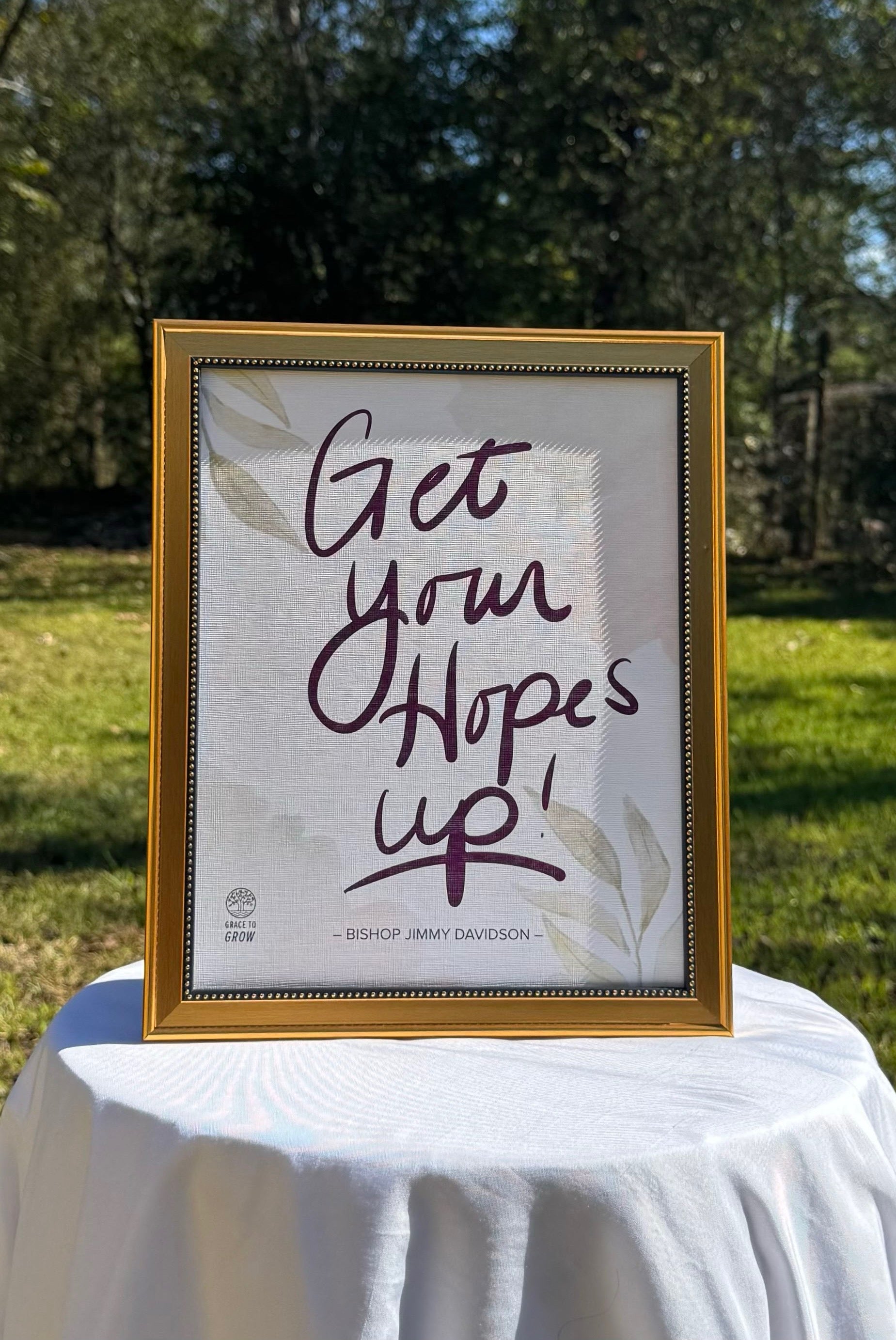 “Get Your Hopes Up”-Quote Picture Frame – Grace to Grow